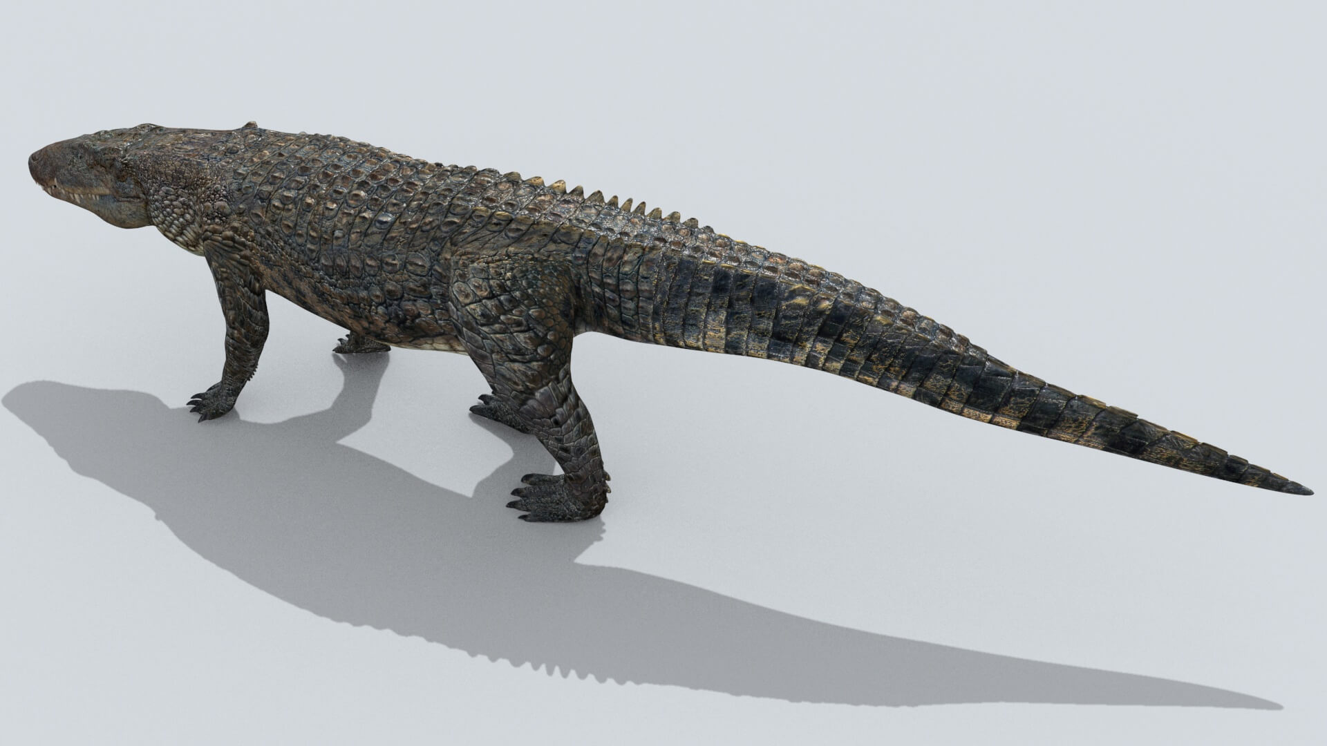 Postosuchus Barinasuchus Fasolasuchus HD - 3D Animated by Virtual creator