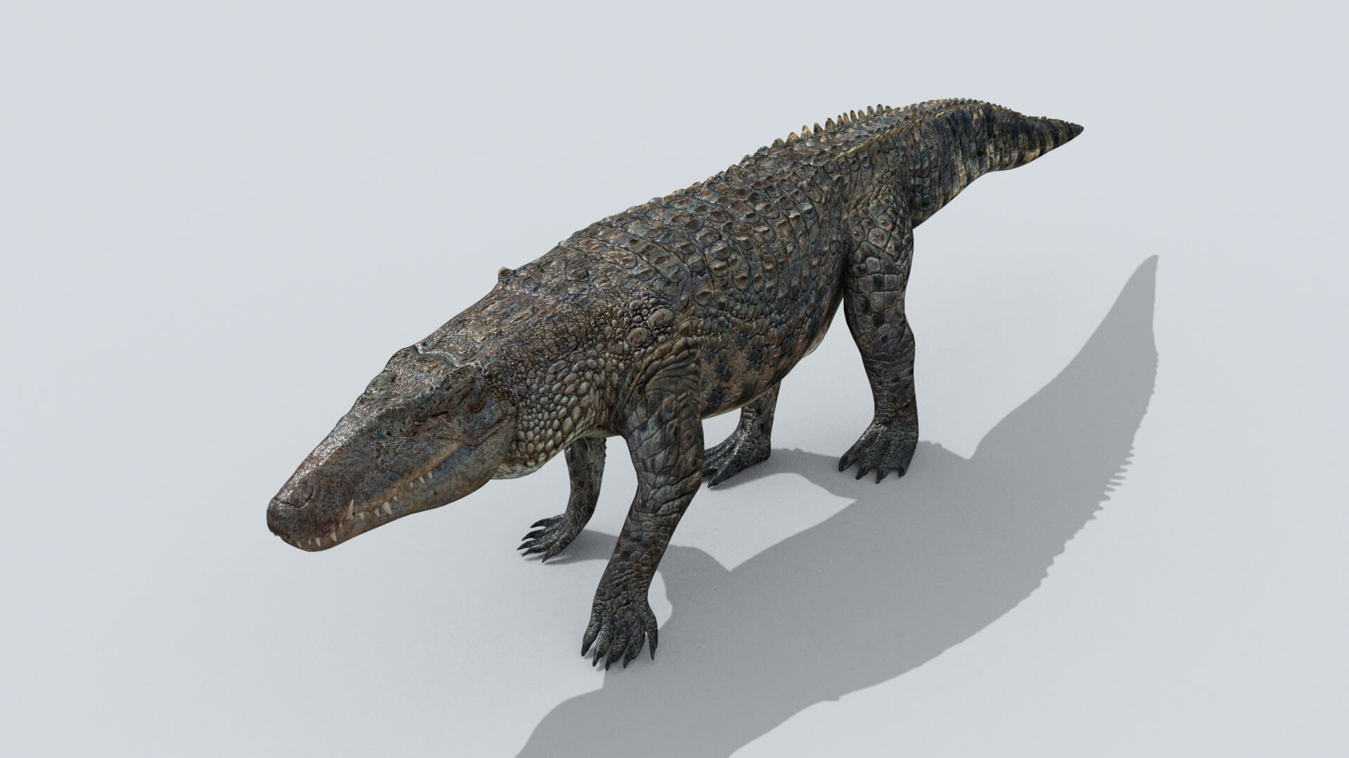 Postosuchus Barinasuchus Fasolasuchus HD - 3D Animated by Virtual creator
