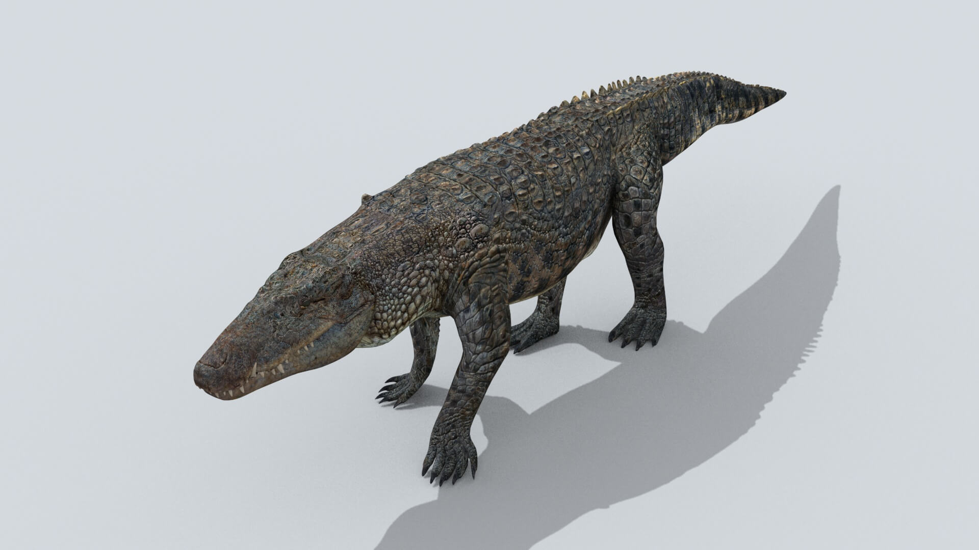Postosuchus Barinasuchus Fasolasuchus HD - 3D Animated by Virtual creator