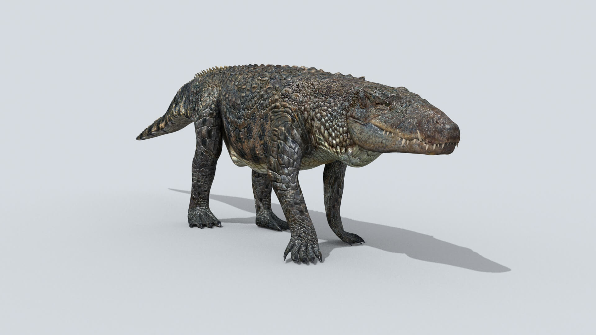 Postosuchus Barinasuchus Fasolasuchus HD - 3D Animated by Virtual creator