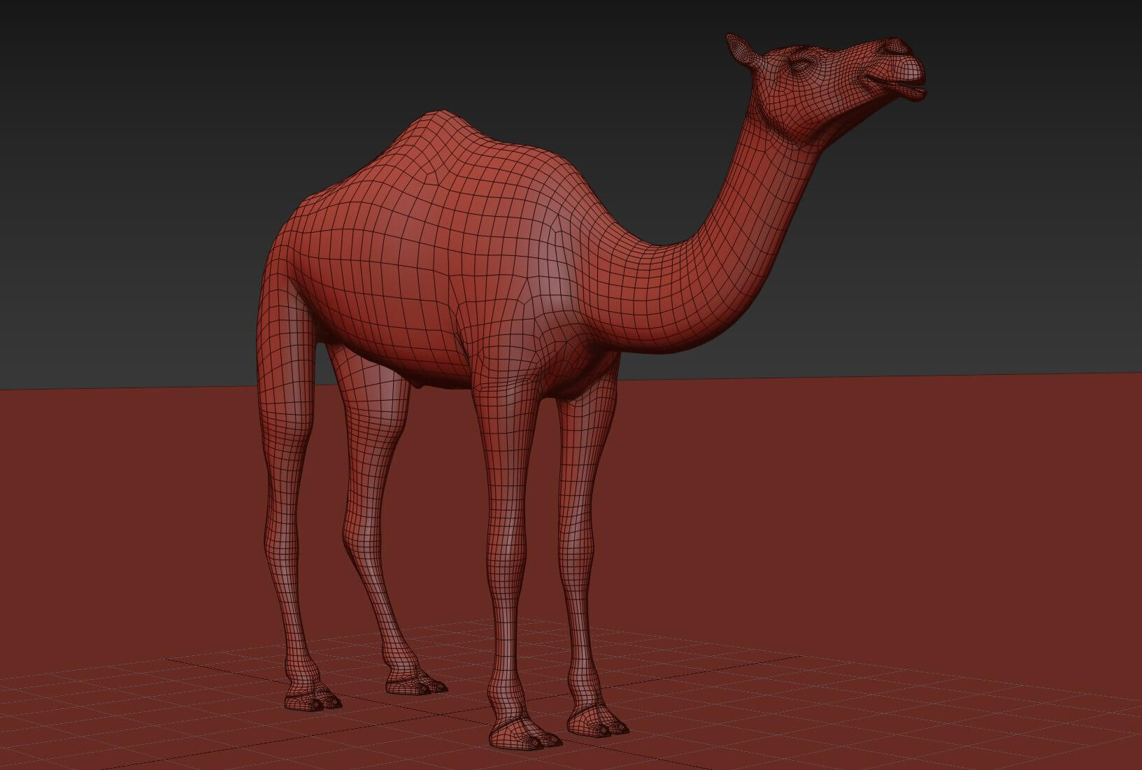 Pro Camel 8K - 3D Model by Virtual creator