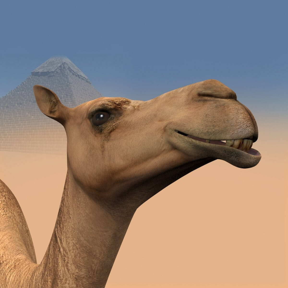 Pro Camel 8K - 3D Model by Virtual creator