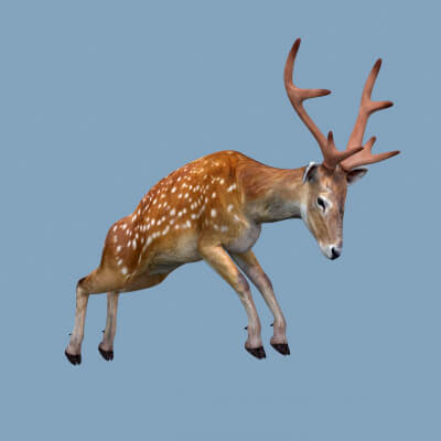 Pro Deer 8K - 3D Animated by Virtual creator