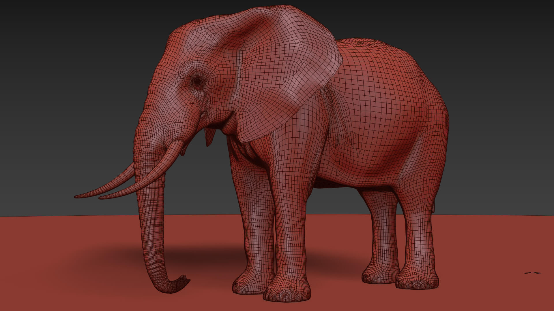 PRO Elephant 4K - 3D Model by Virtual creator