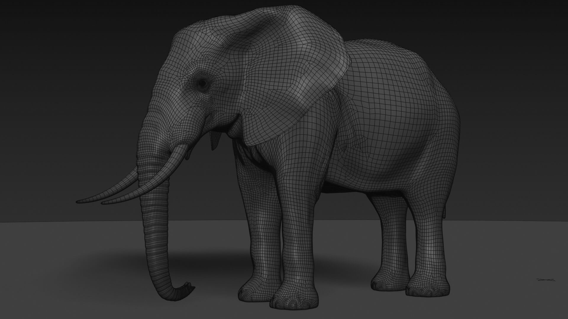 PRO Elephant 4K - 3D Model by Virtual creator