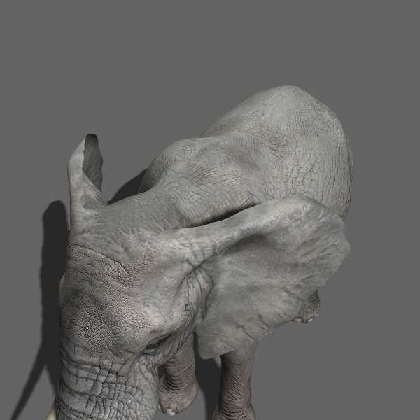 Elephant 2 - 3D Model by Virtual creator