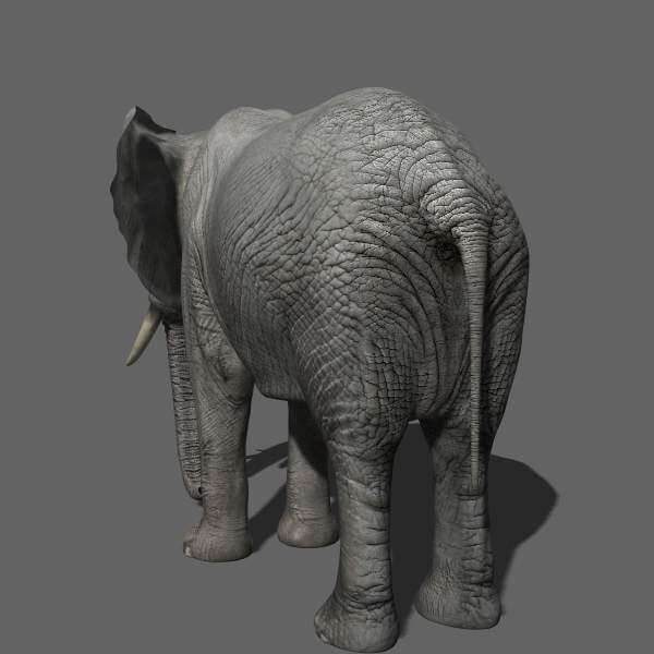 Elephant - 3D Model by Virtual creator
