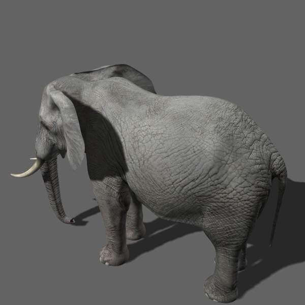 Elephant - 3D Model by Virtual creator