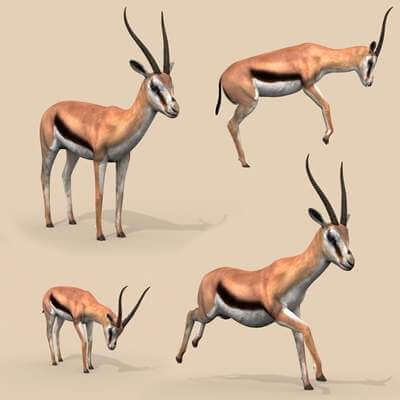 Gazelle - 3D Model by Virtual creator