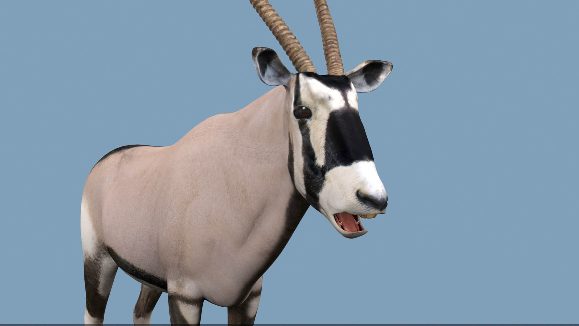 Pro Oryx - 8K 3D Model by Virtual creator