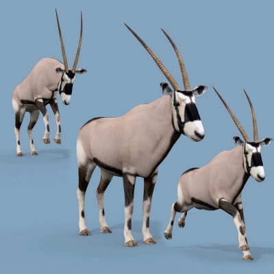 Pro Oryx - 8K 3D Model by Virtual creator