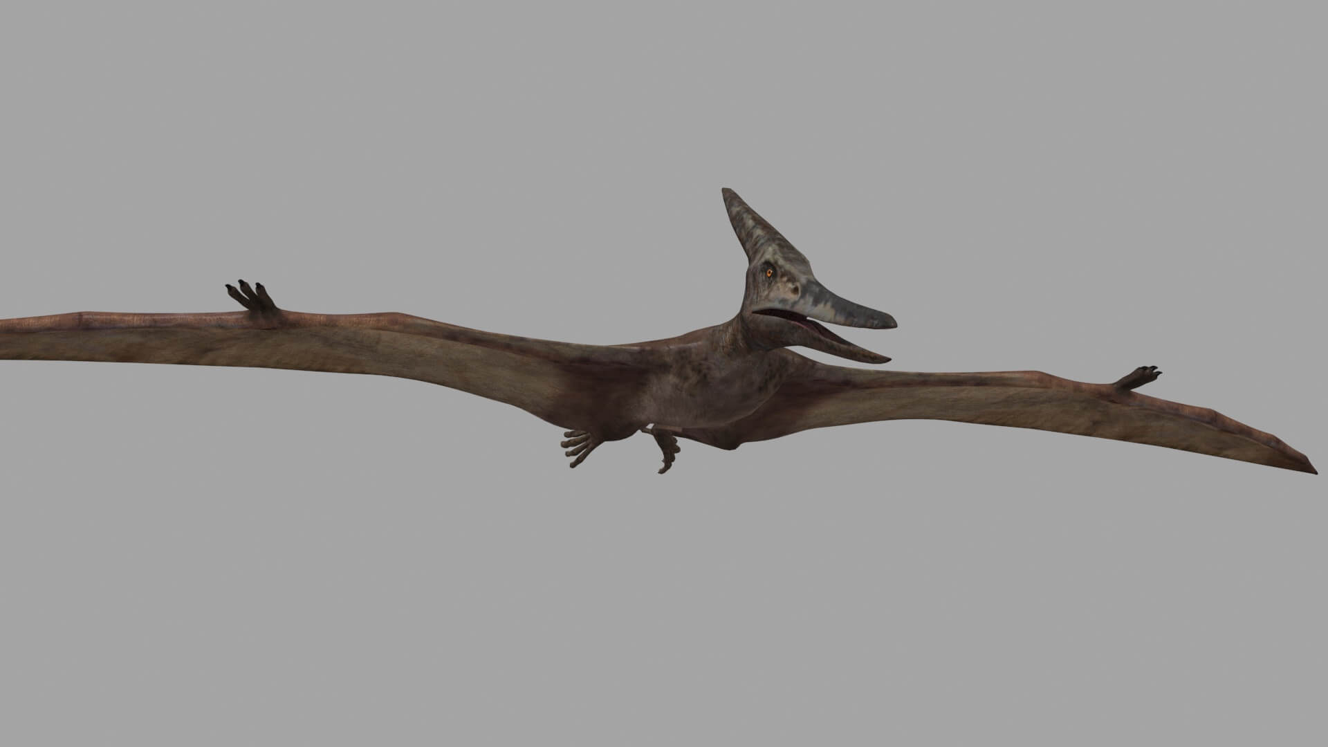 Pterosaur Forever 8K - 3D Animated Model by Virtual creator