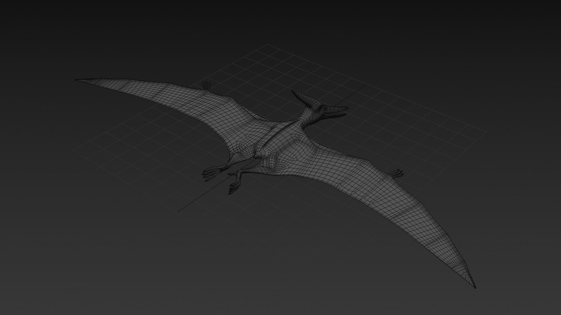 Pterosaur Forever 8K - 3D Animated Model by Virtual creator