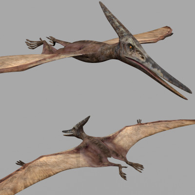 Pterosaur Forever 8K - 3D Animated Model by Virtual creator