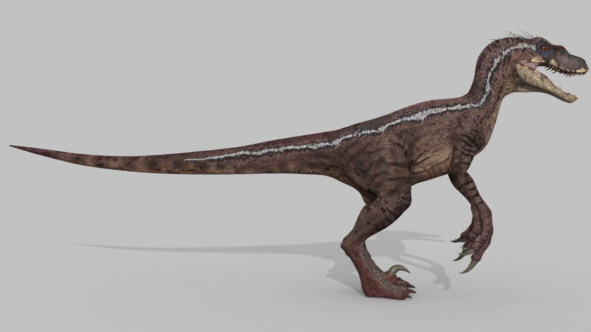 Raptor Forever - 8K 3D Model by Virtual creator