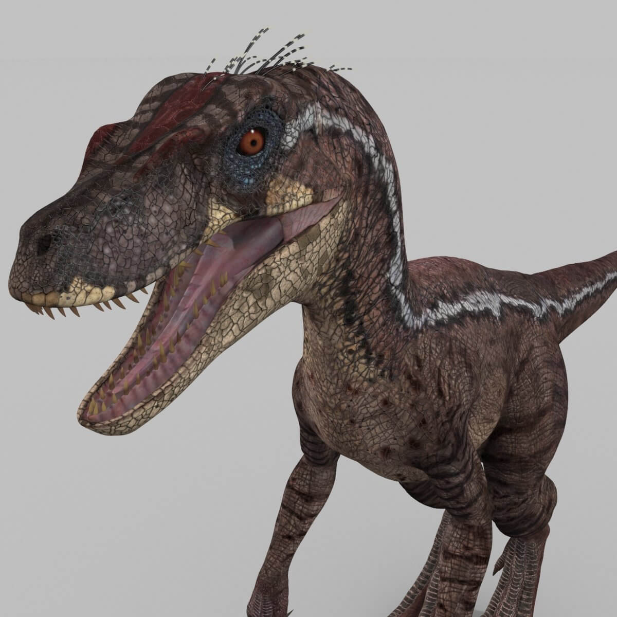 Raptor Forever - 8K 3D Model by Virtual creator