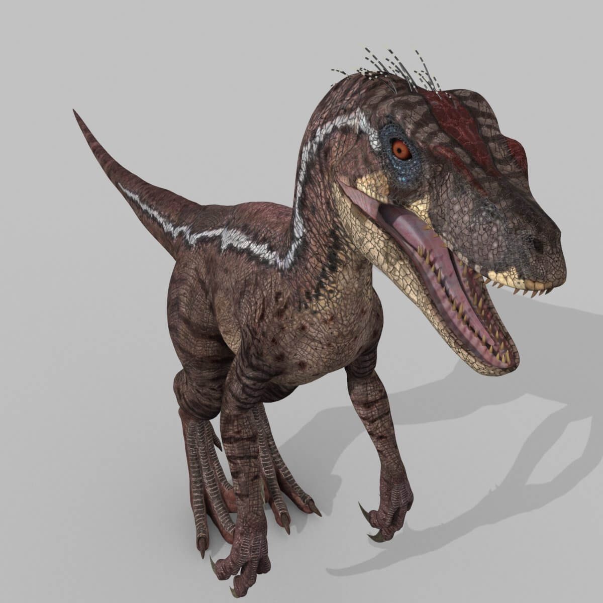 Raptor Forever - 8K 3D Model by Virtual creator