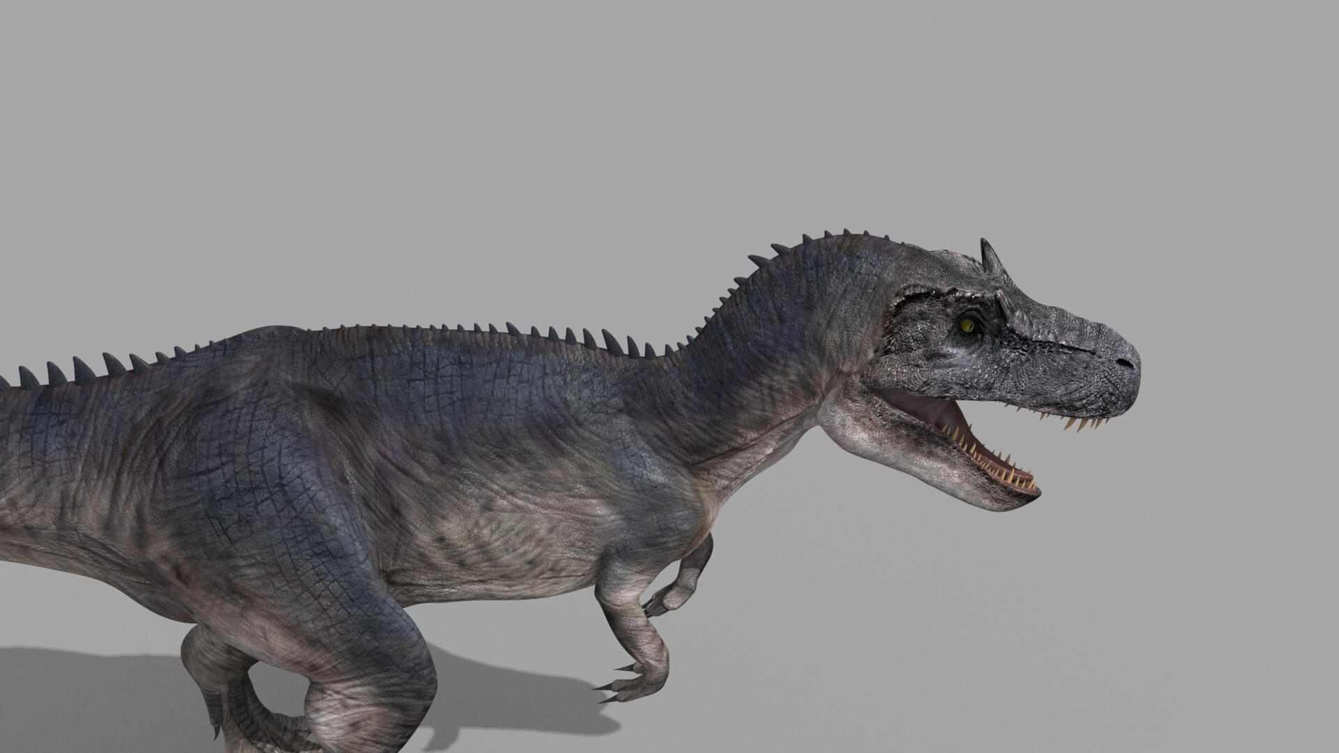 Real Animated Allosaurus - 8K 3D Model by Virtual creator