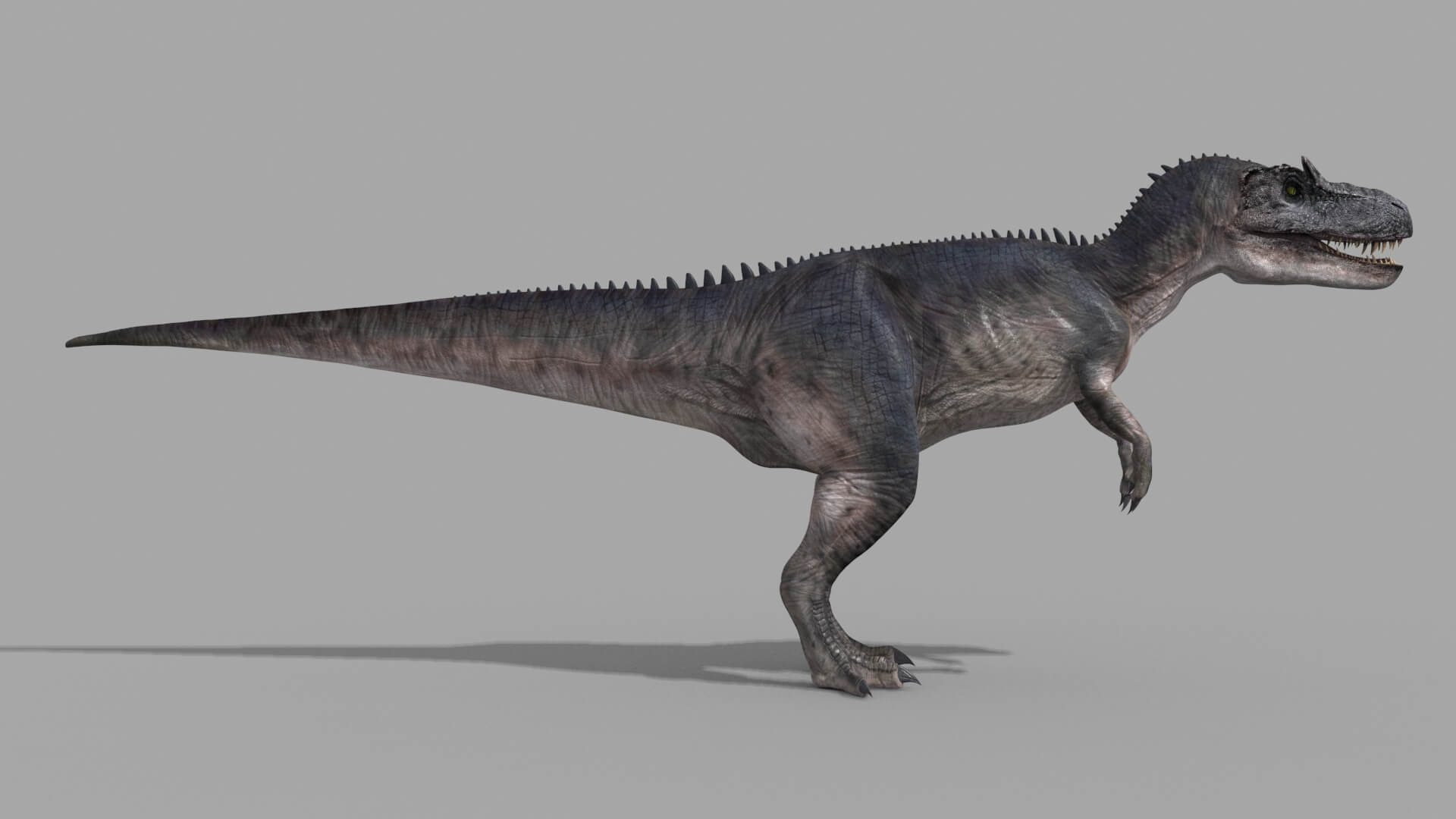 Real Animated Allosaurus - 8K 3D Model by Virtual creator