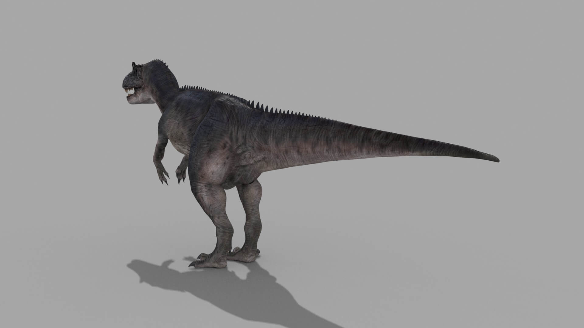Real Animated Allosaurus - 8K 3D Model by Virtual creator