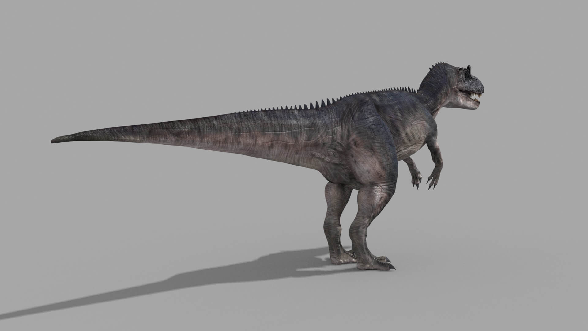 Real Animated Allosaurus - 8K 3D Model by Virtual creator
