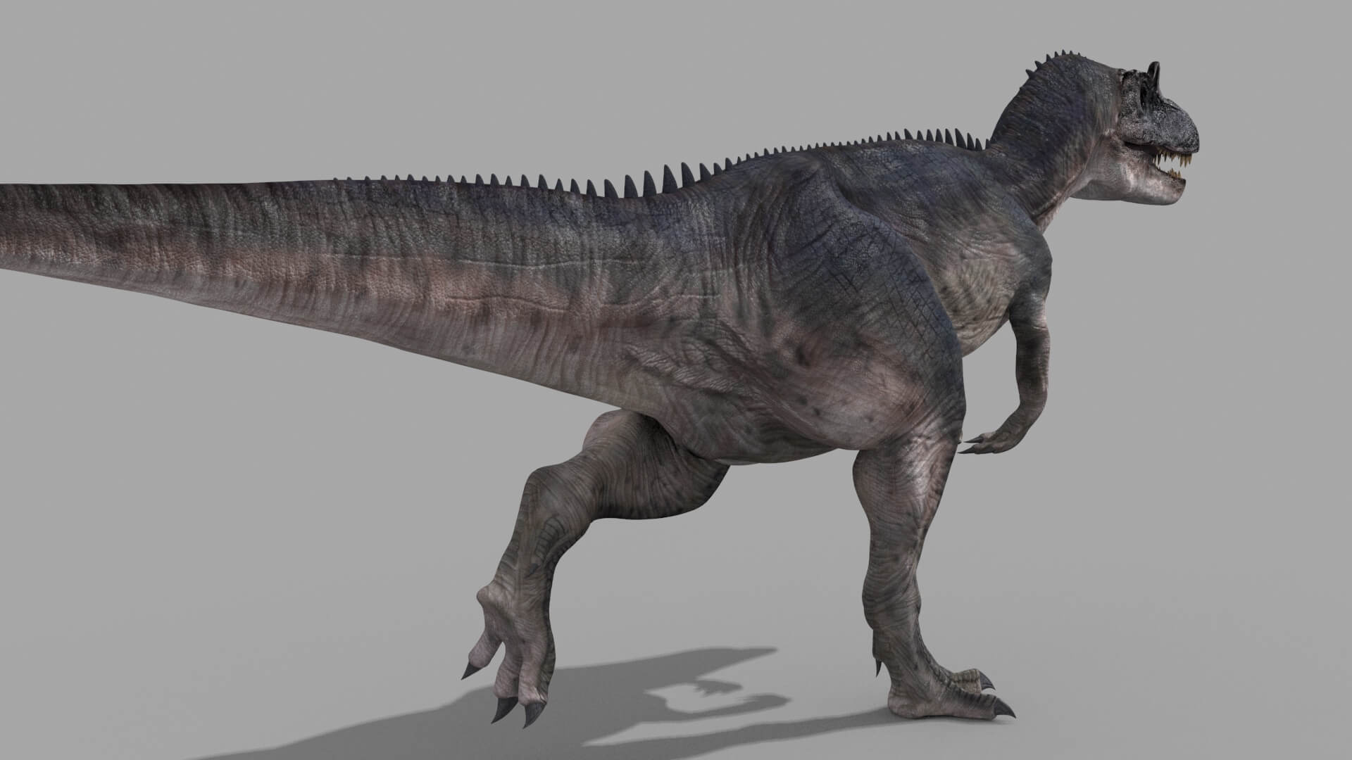 Real Animated Allosaurus - 8K 3D Model by Virtual creator