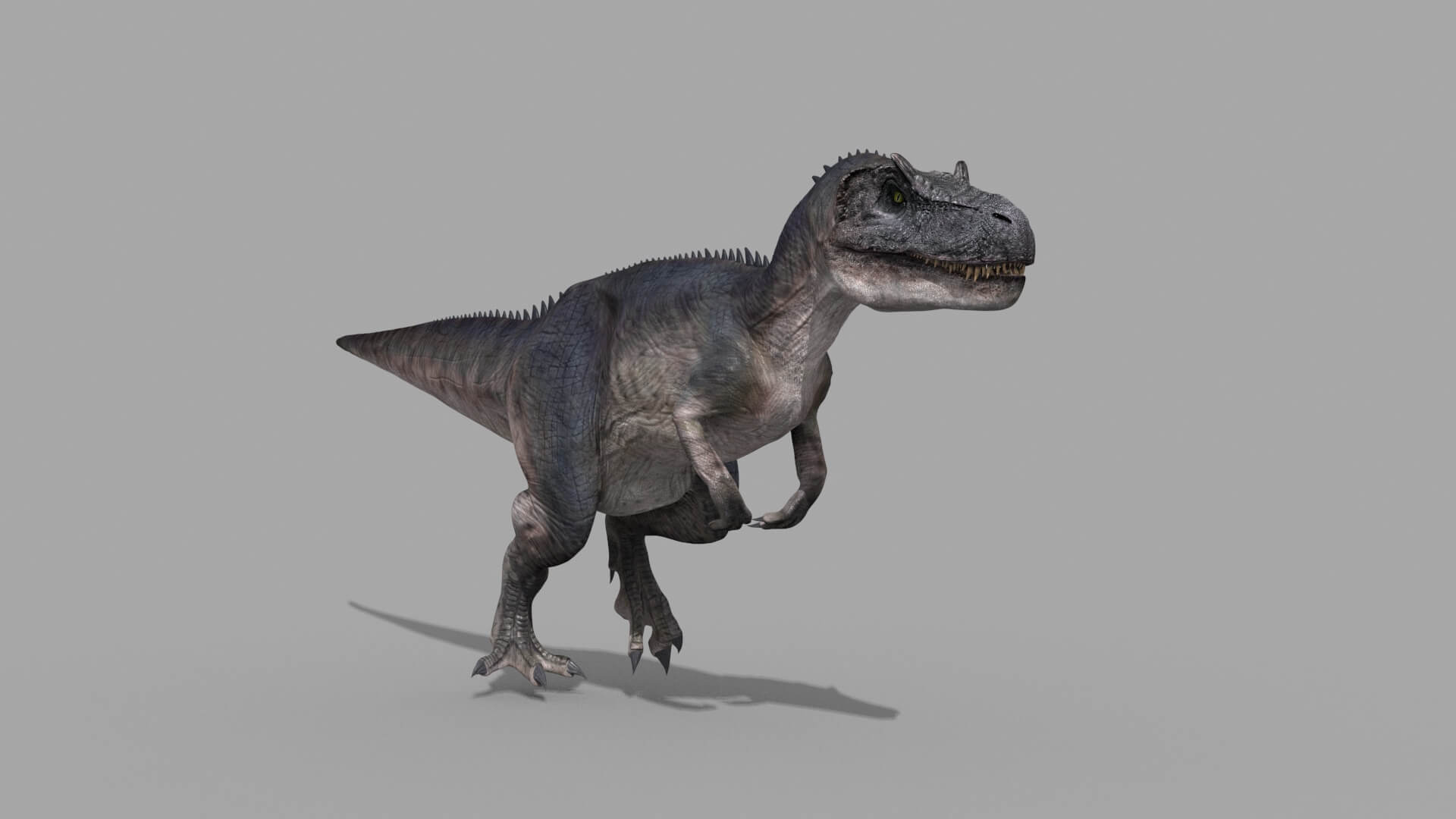 Real Animated Allosaurus - 8K 3D Model by Virtual creator