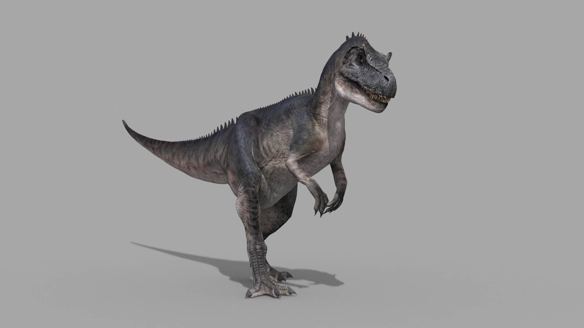 Real Animated Allosaurus - 8K 3D Model by Virtual creator