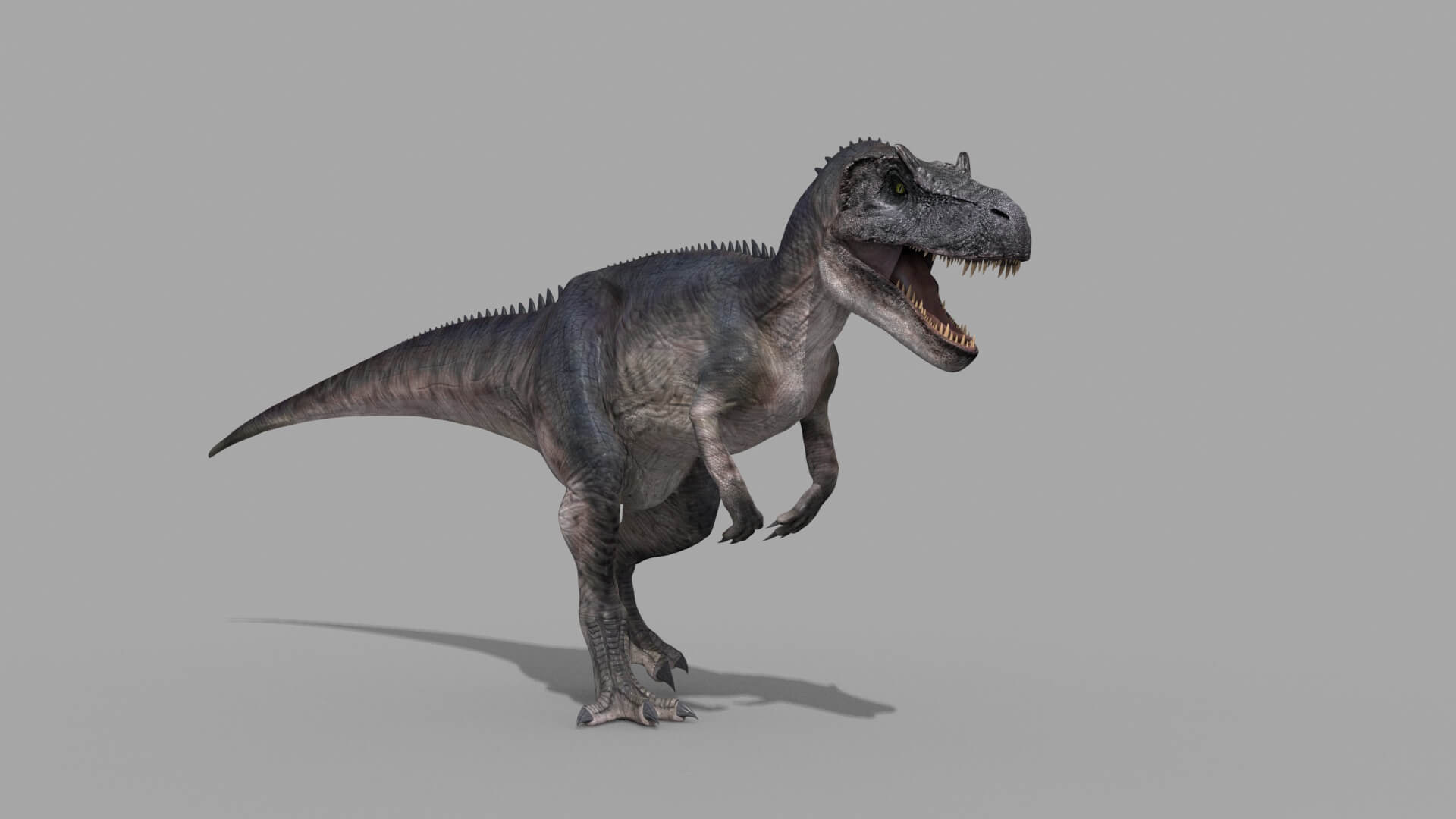 Real Animated Allosaurus - 8K 3D Model by Virtual creator