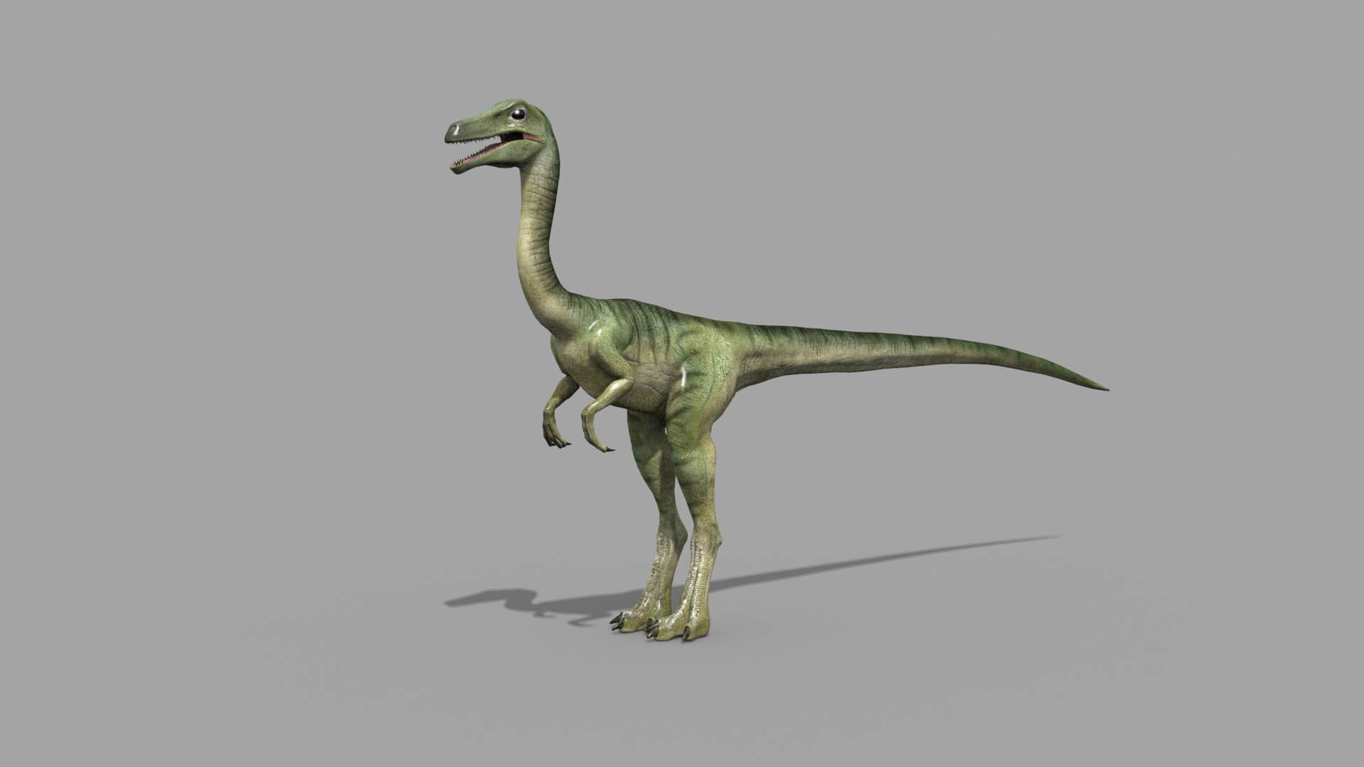 Real Animated Compsognathus - 8K 3D Model by Virtual creator