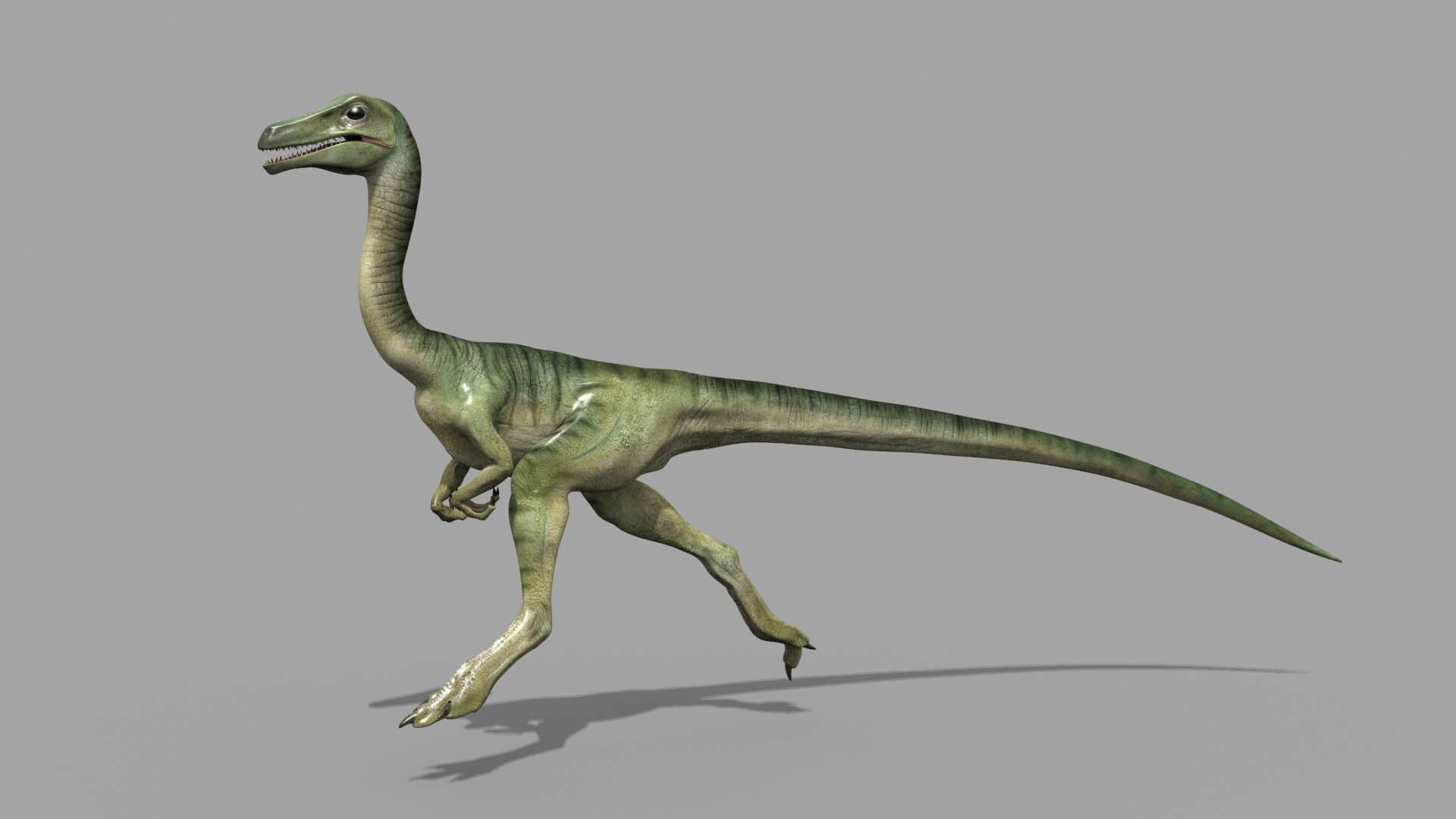 Real Animated Compsognathus - 8K 3D Model by Virtual creator