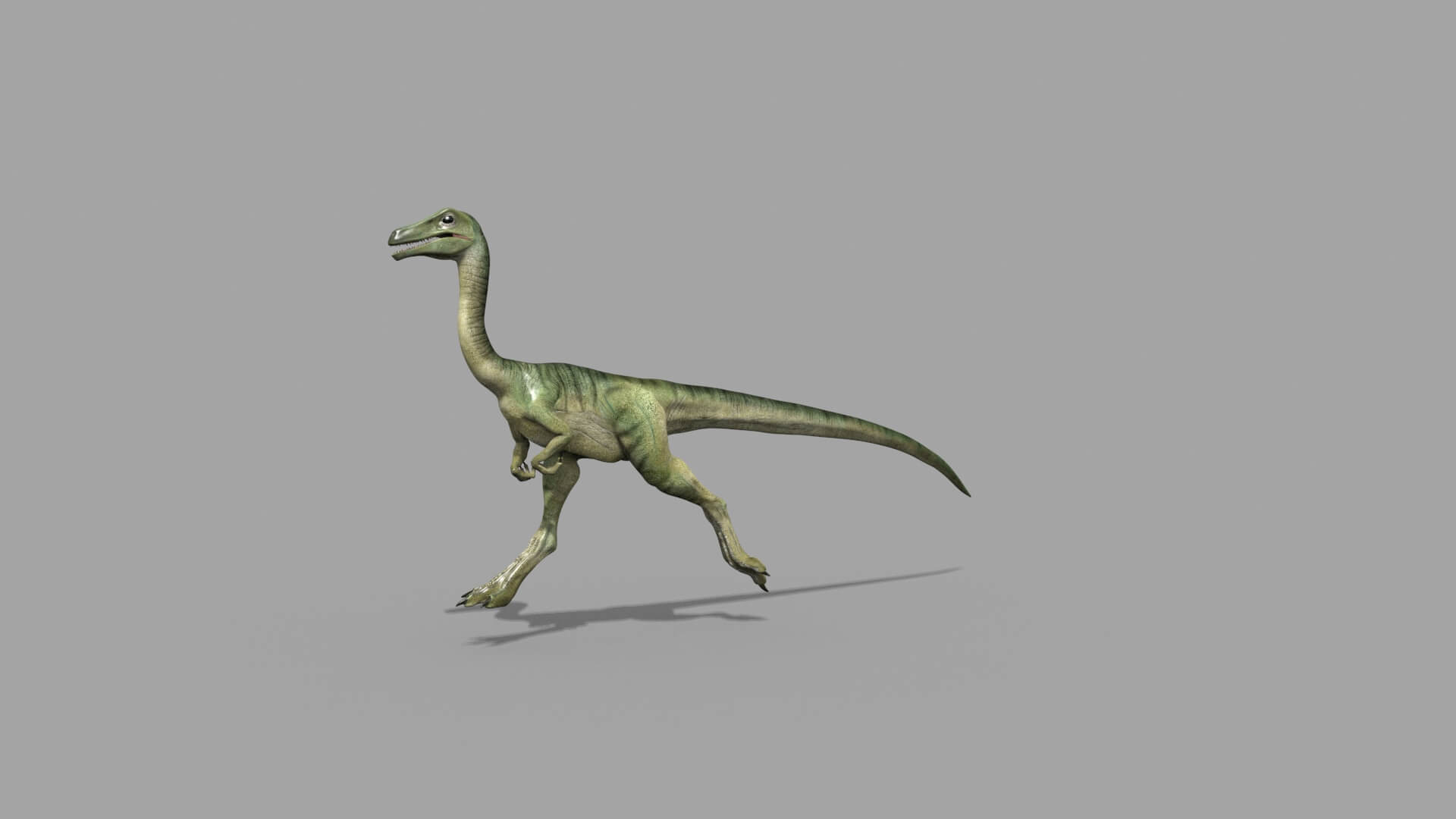 Real Animated Compsognathus - 8K 3D Model by Virtual creator