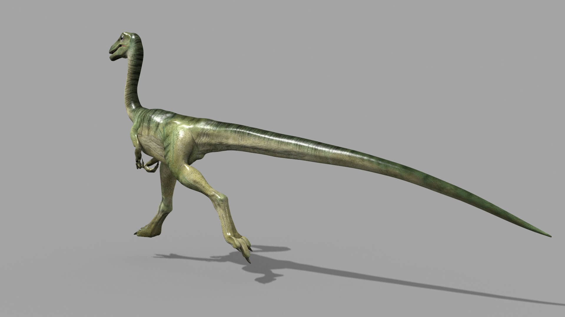 Real Animated Compsognathus - 8K 3D Model by Virtual creator