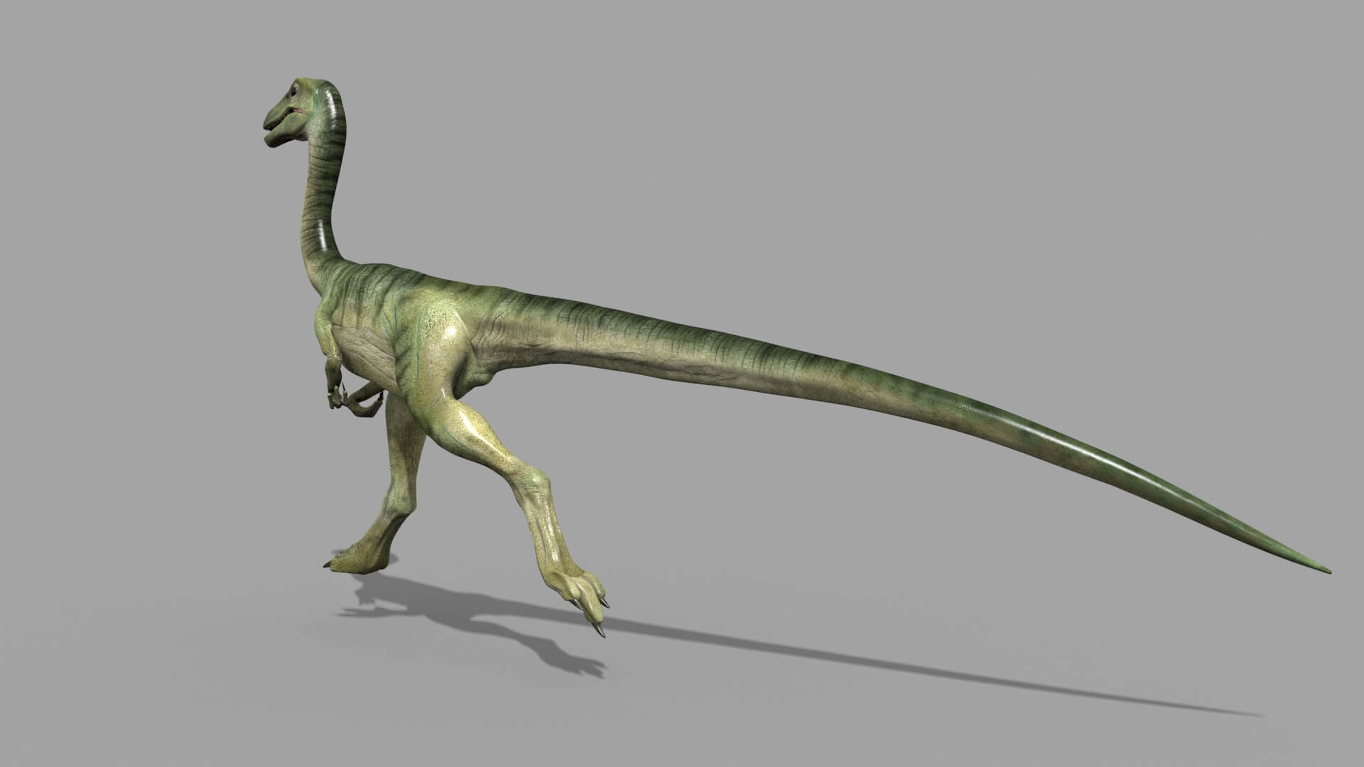 Real Animated Compsognathus - 8K 3D Model by Virtual creator