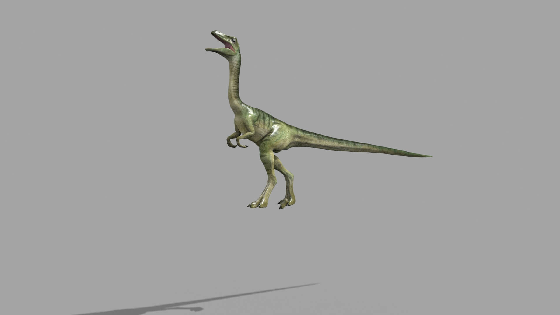 Real Animated Compsognathus - 8K 3D Model by Virtual creator