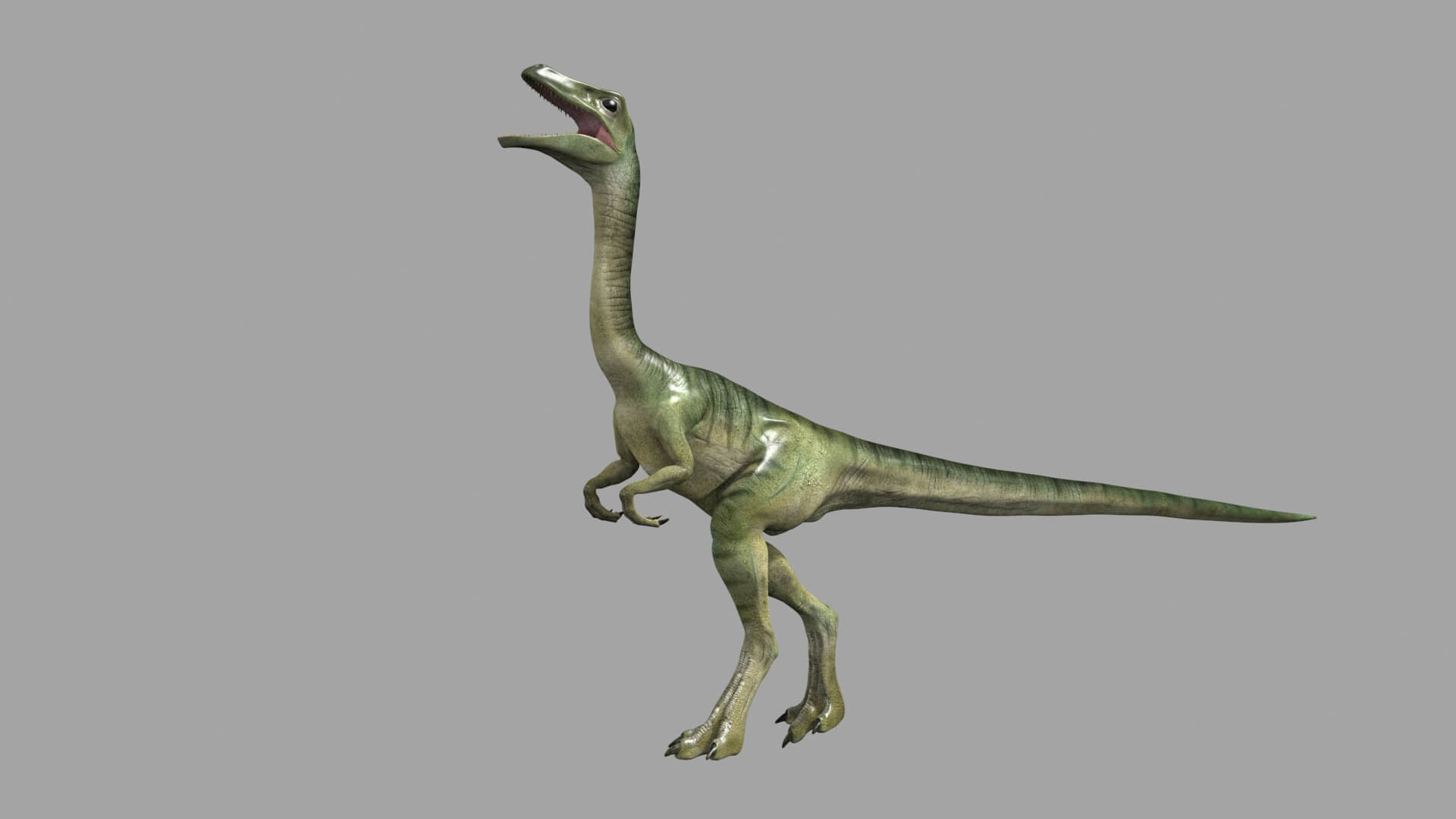 Real Animated Compsognathus - 8K 3D Model by Virtual creator