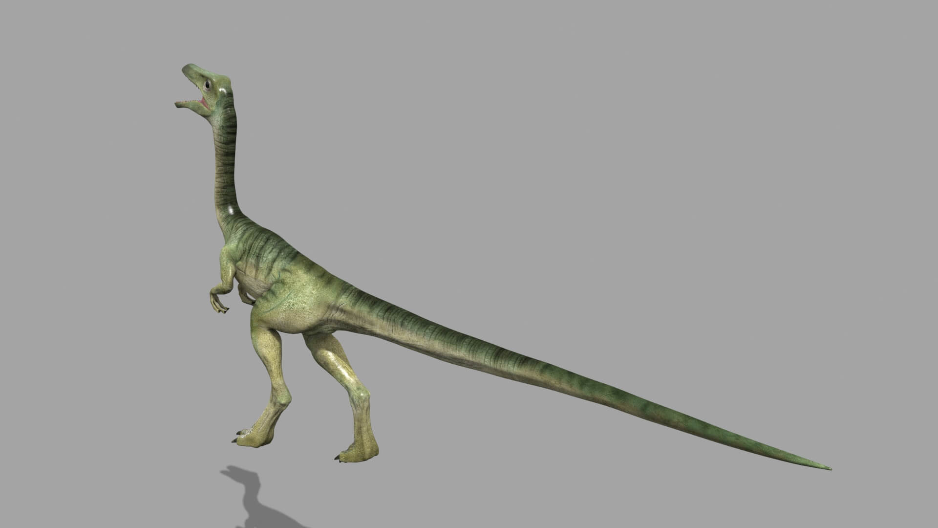 Real Animated Compsognathus - 8K 3D Model by Virtual creator