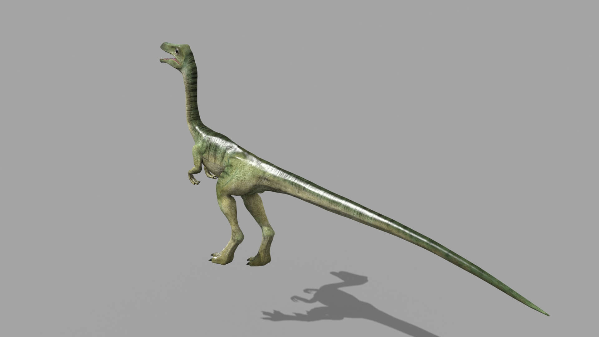 Real Animated Compsognathus - 8K 3D Model by Virtual creator