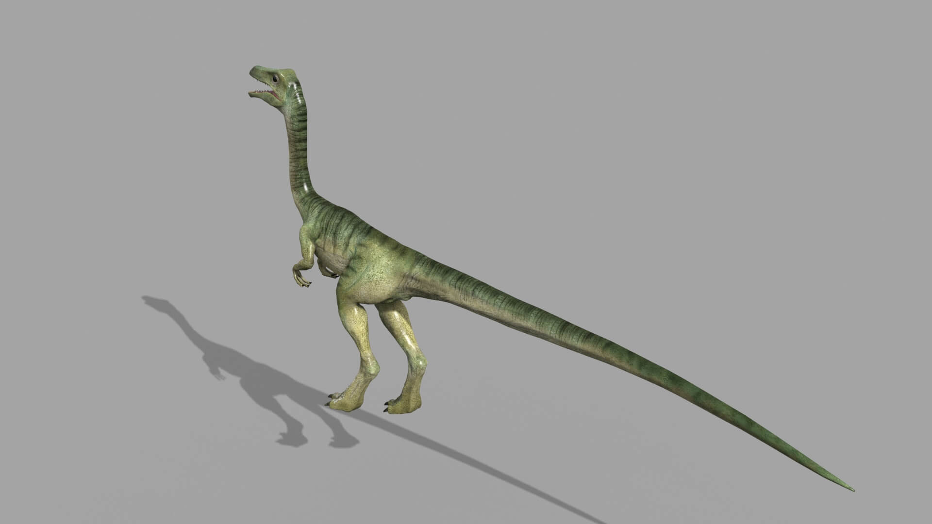 Real Animated Compsognathus - 8K 3D Model by Virtual creator