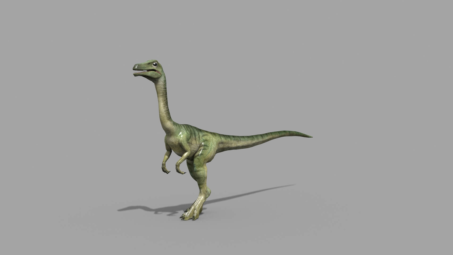 Real Animated Compsognathus - 8K 3D Model by Virtual creator