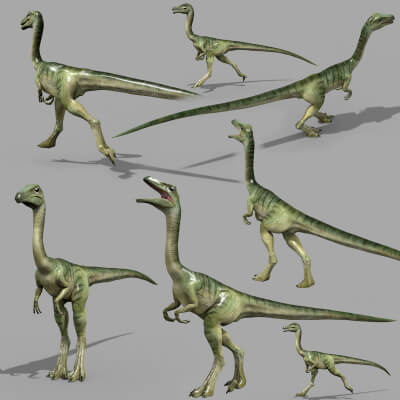Real Animated Compsognathus - 8K 3D Model by Virtual creator