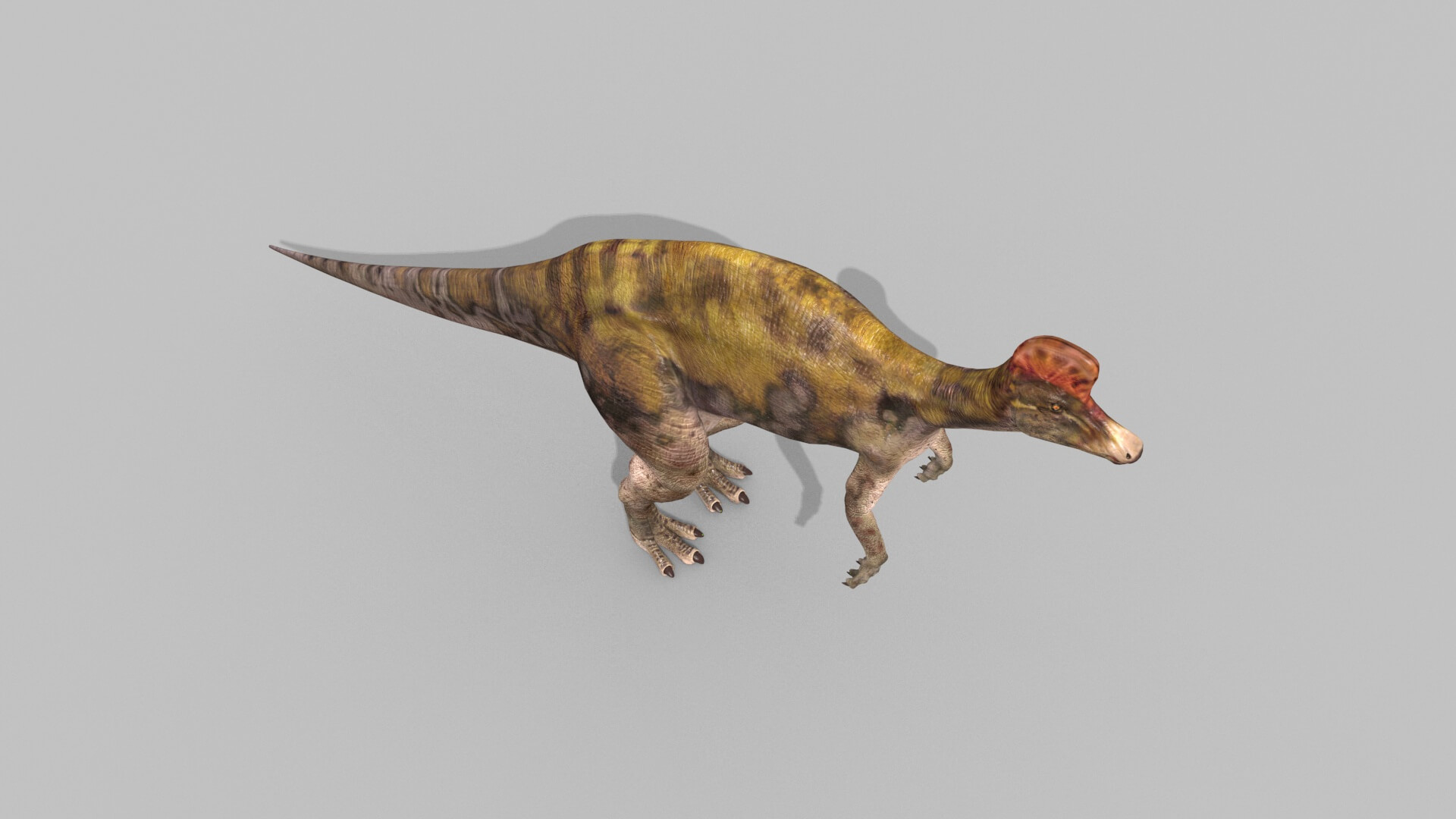Real Animated Corythosaurus HD - 3D Model by Virtual creator