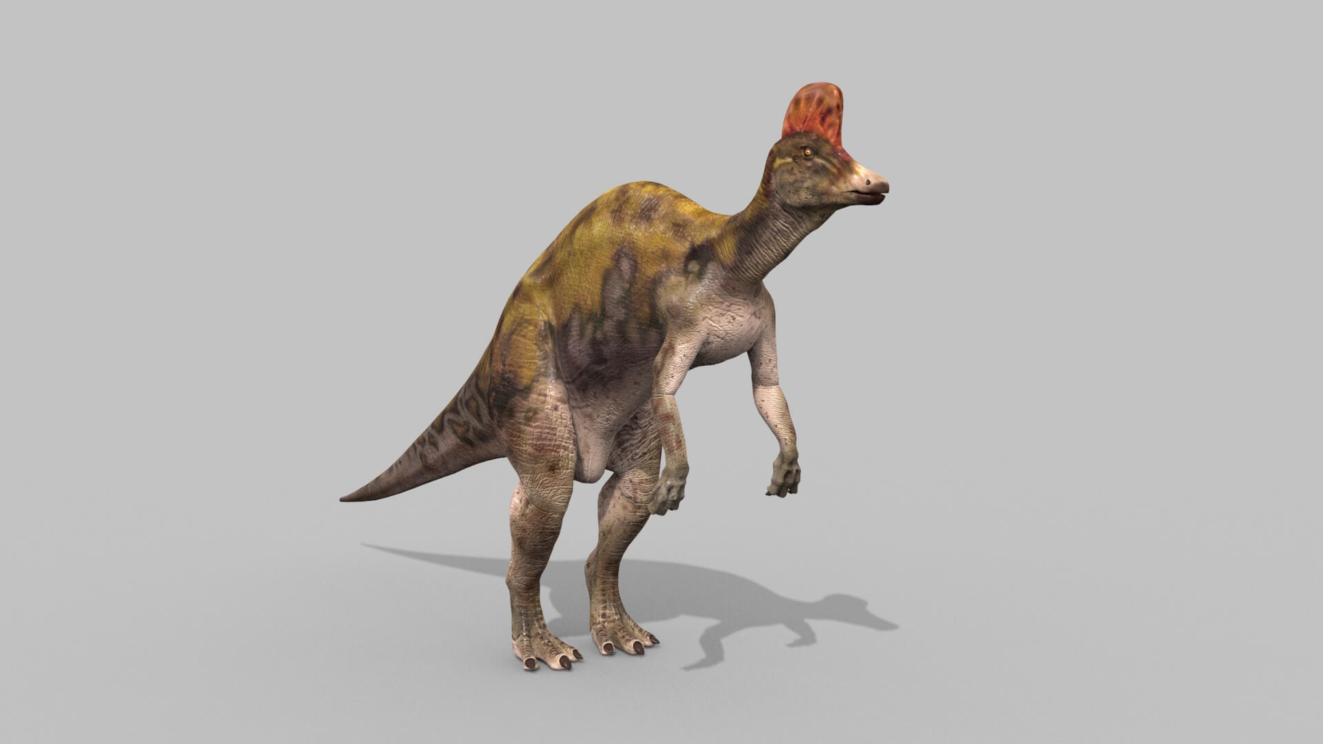 Real Animated Corythosaurus HD - 3D Model by Virtual creator