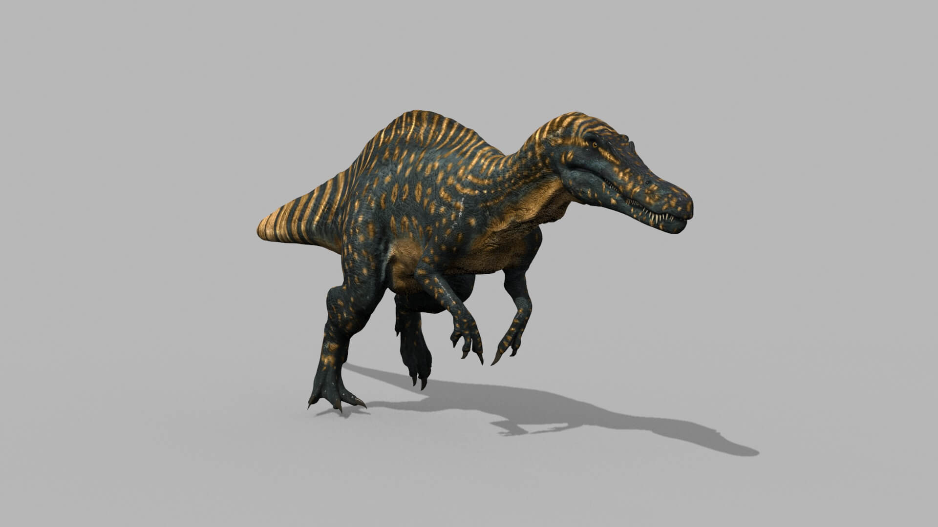 Real Animated Suchomimus - 8K 3D Model by Virtual creator