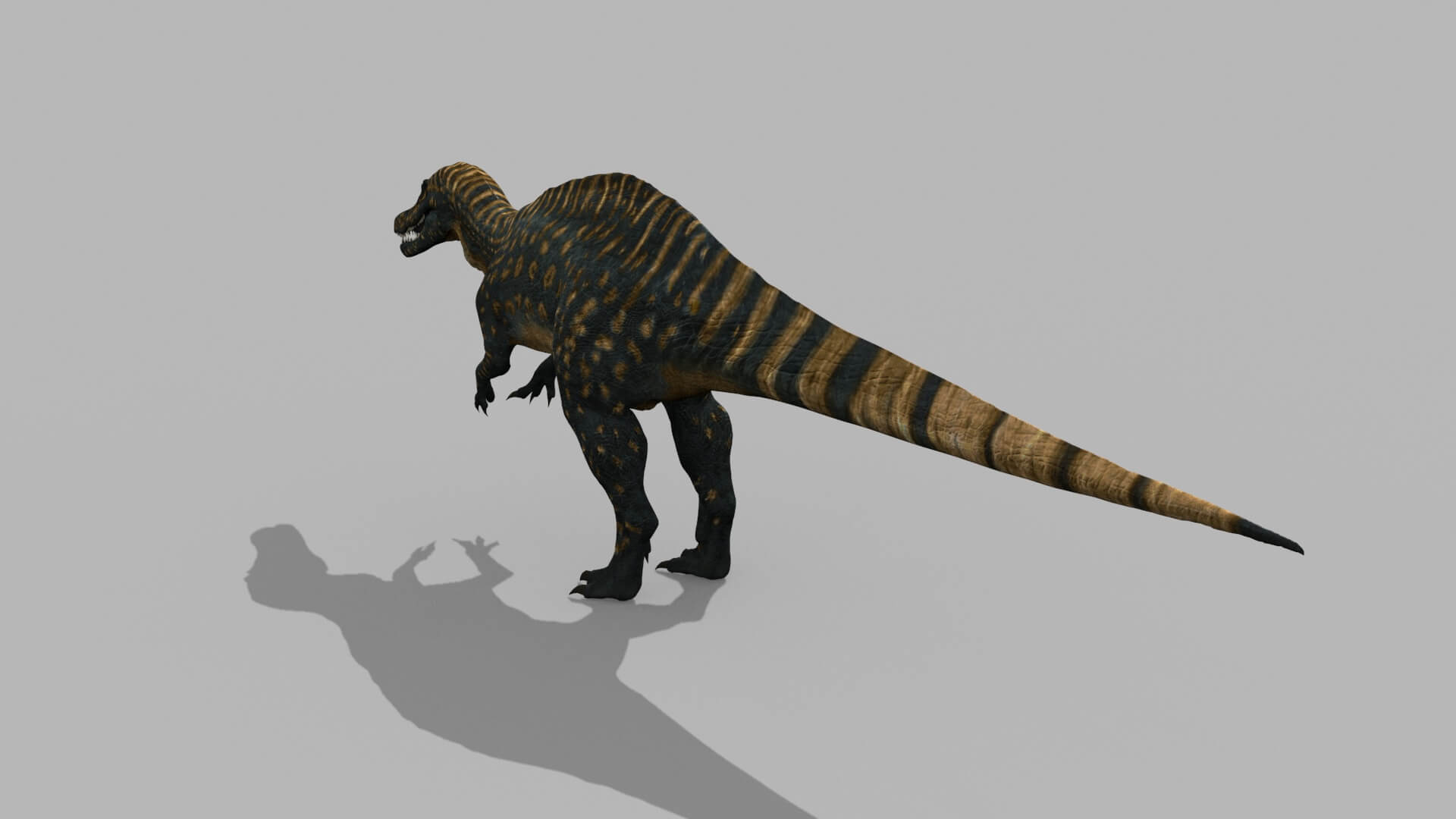 Real Animated Suchomimus - 8K 3D Model by Virtual creator