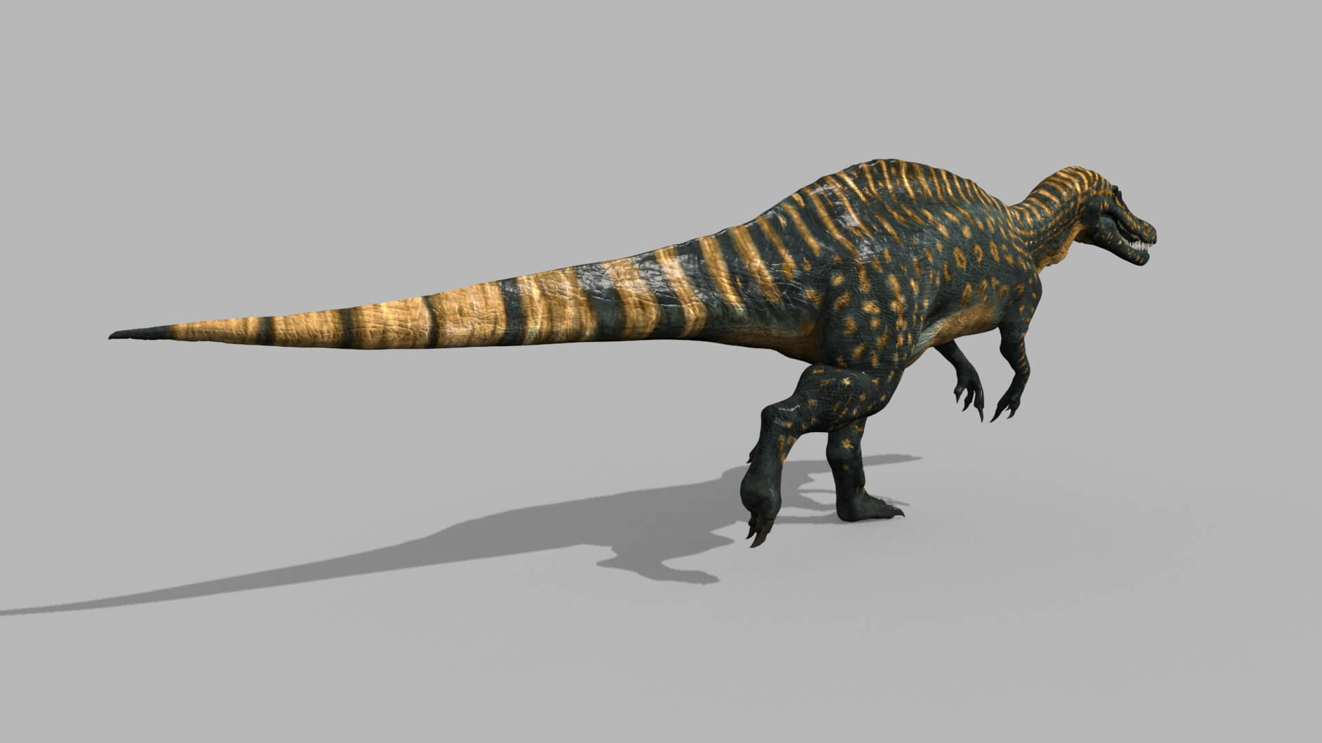 Real Animated Suchomimus - 8K 3D Model by Virtual creator