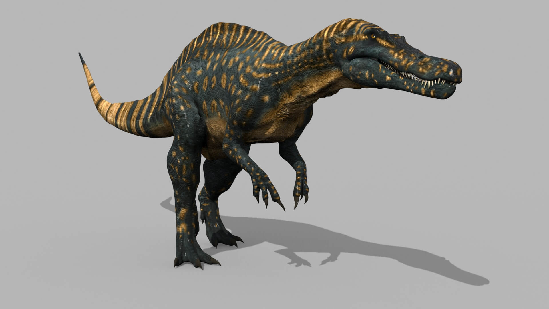 Real Animated Suchomimus - 8K 3D Model by Virtual creator