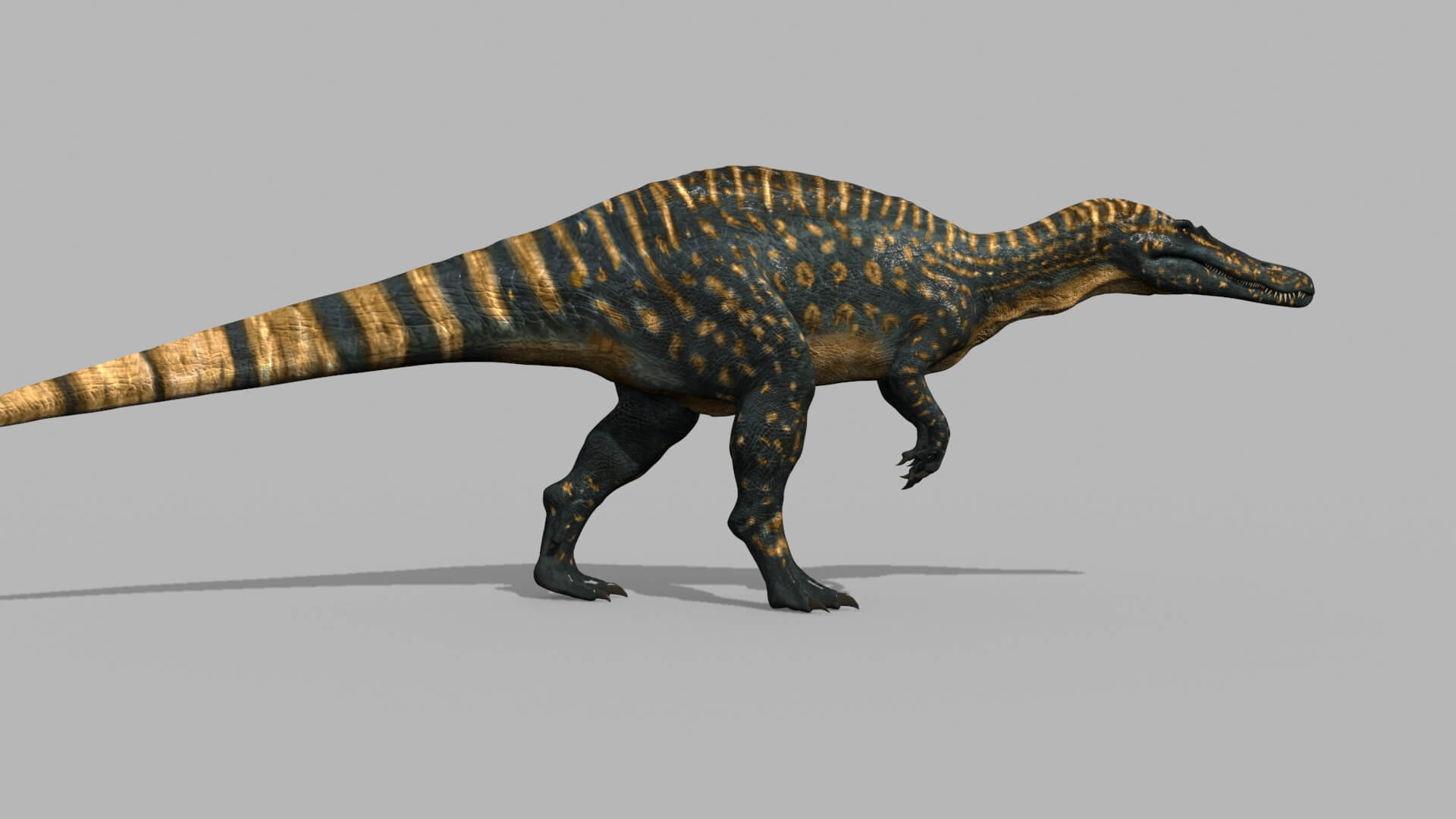 Real Animated Suchomimus - 8K 3D Model by Virtual creator