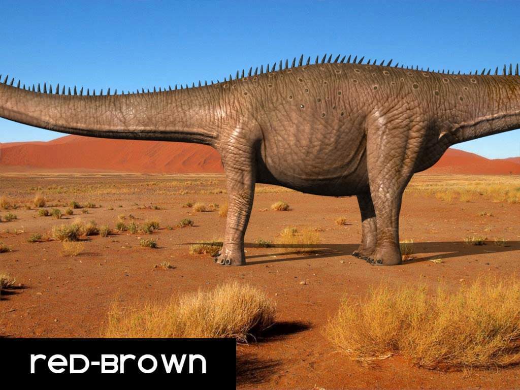 Diplodocus Dinosaur - 3D Model by Virtual creator