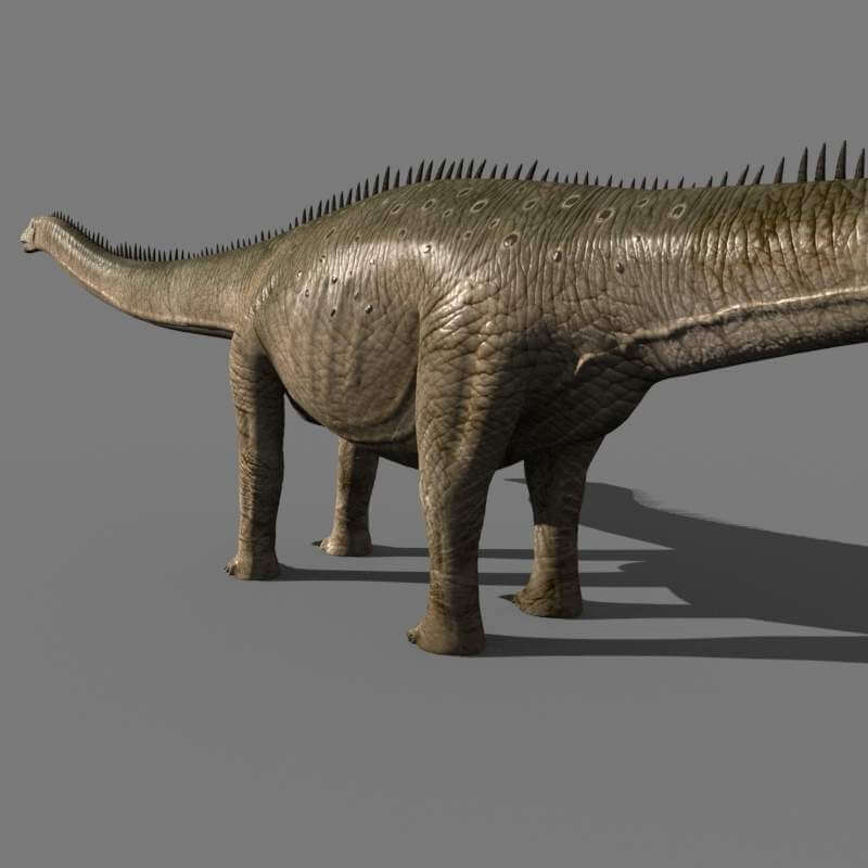 Diplodocus Dinosaur - 3D Model by Virtual creator